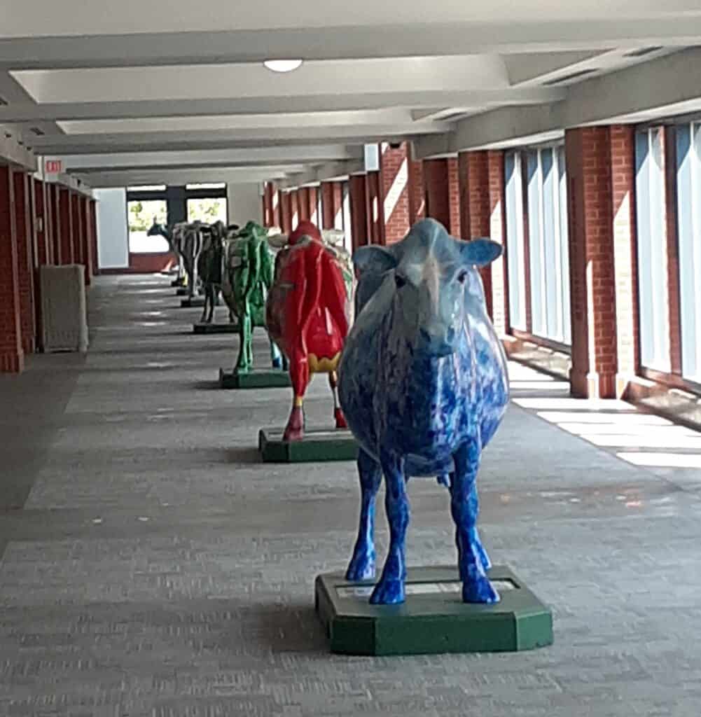 Calgary’s Plus 15 System Nowadays - Blairs Blog